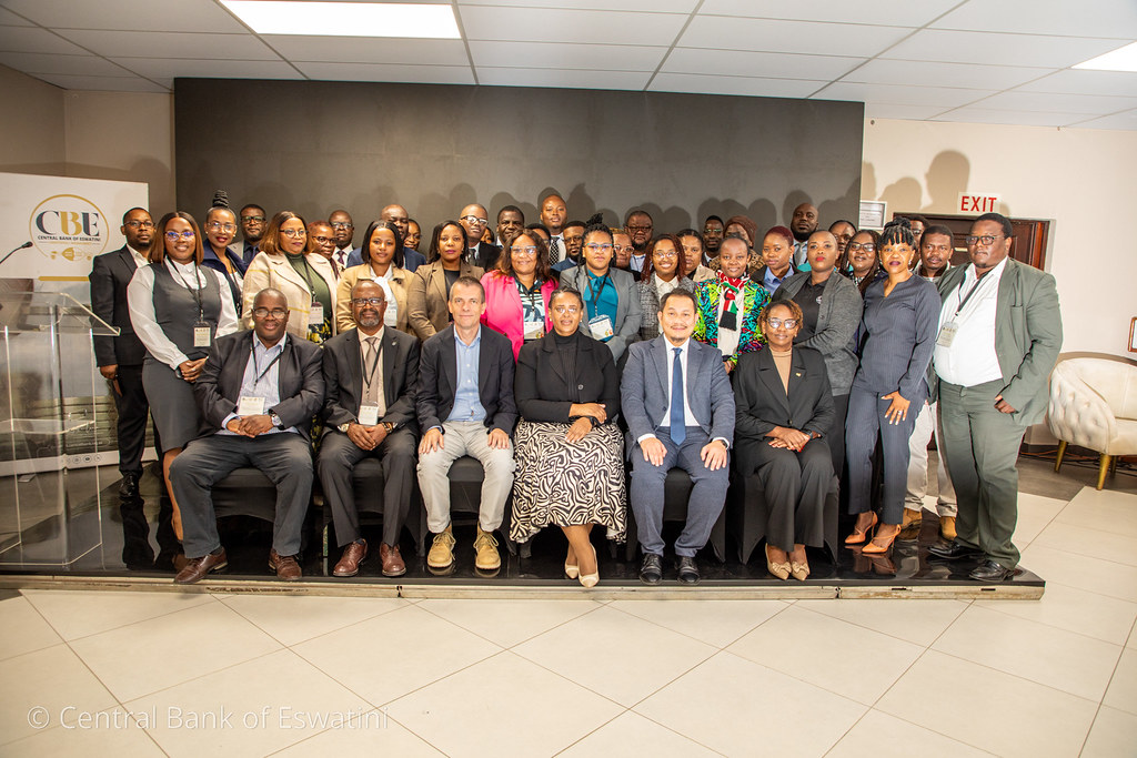AFI training in Eswatini explores how movable collateral registries can ...